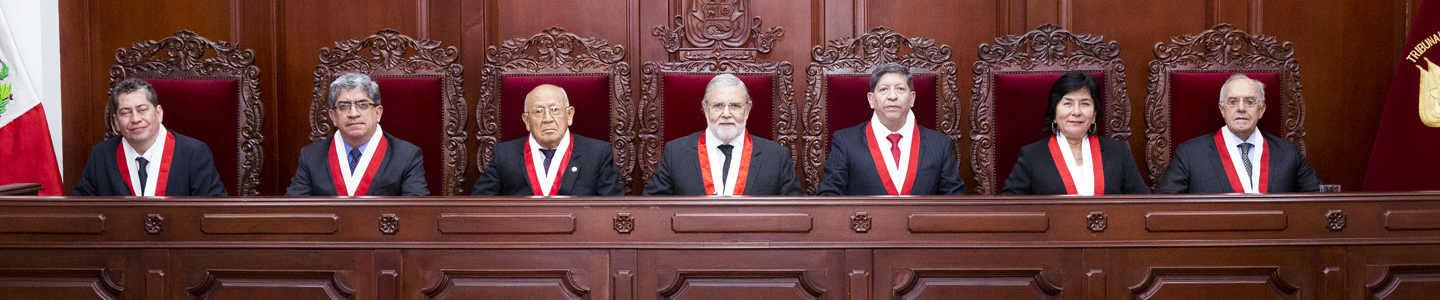 TRIBUNAL CONSTITUCIONAL ANUNCIA DOS NUEVOS PRECEDENTES Y CUMPLIMIENTO ...