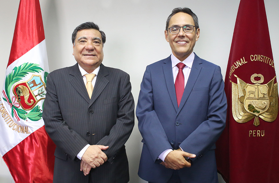 DIRECTOR DEL CENTRO DE ESTUDIOS CONSTITUCIONALES DEL TC SE REÚNE CON ...